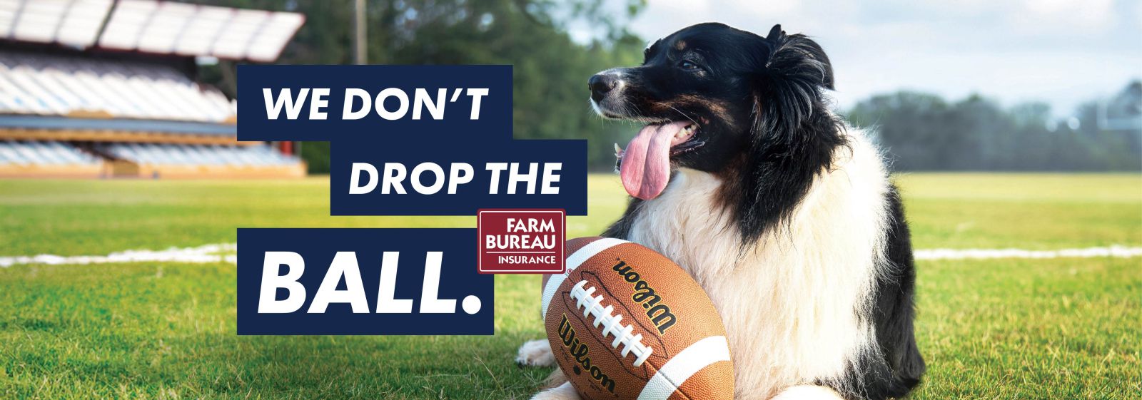 Don't Drop the Ball - Georgia Farm Bureau